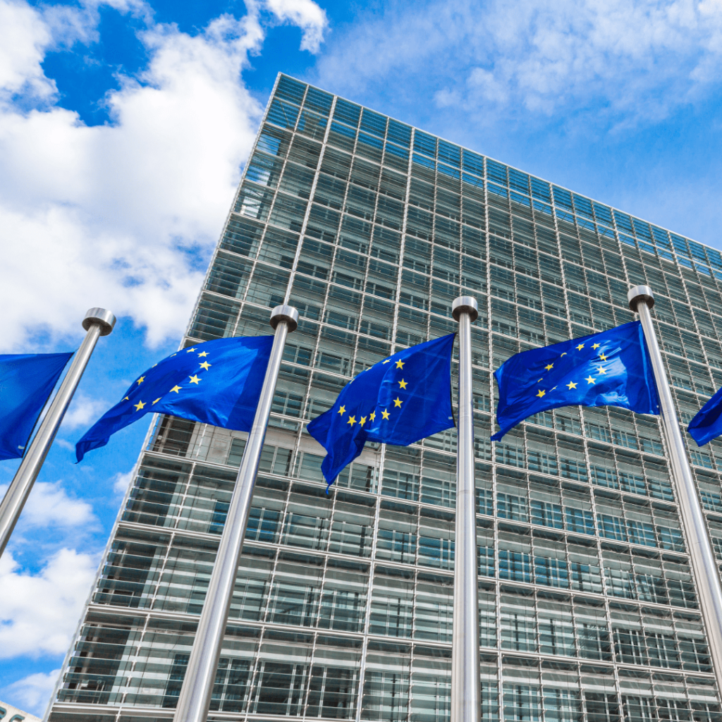 EPR update 2025: News for businesses - Lizenzero Europe